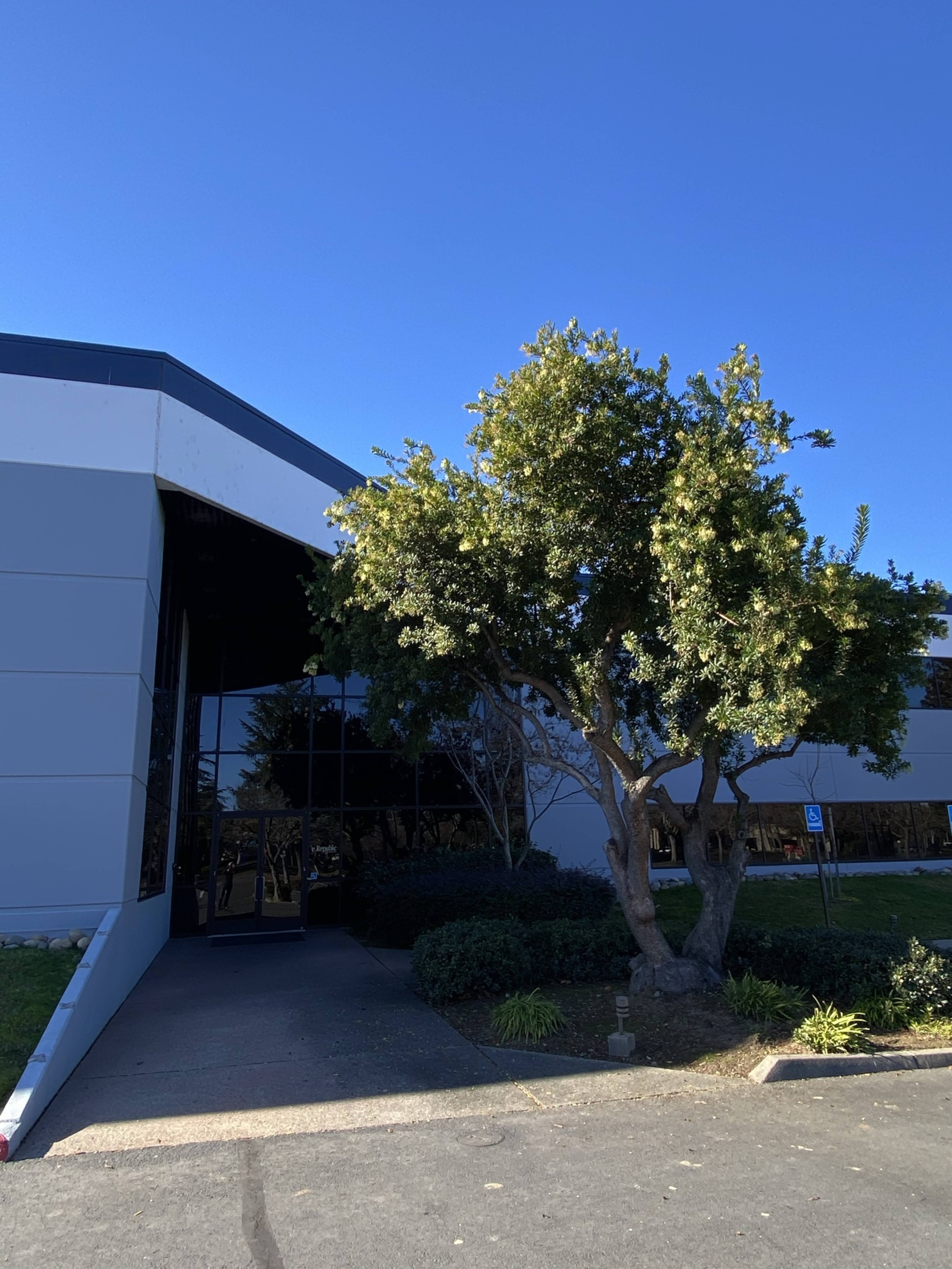 100 Blue Ravine Rd | JLL Properties - US