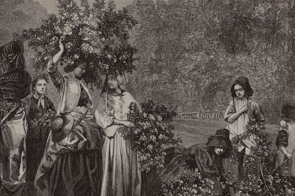 Bringing Home the May - The Art of the Photogravure