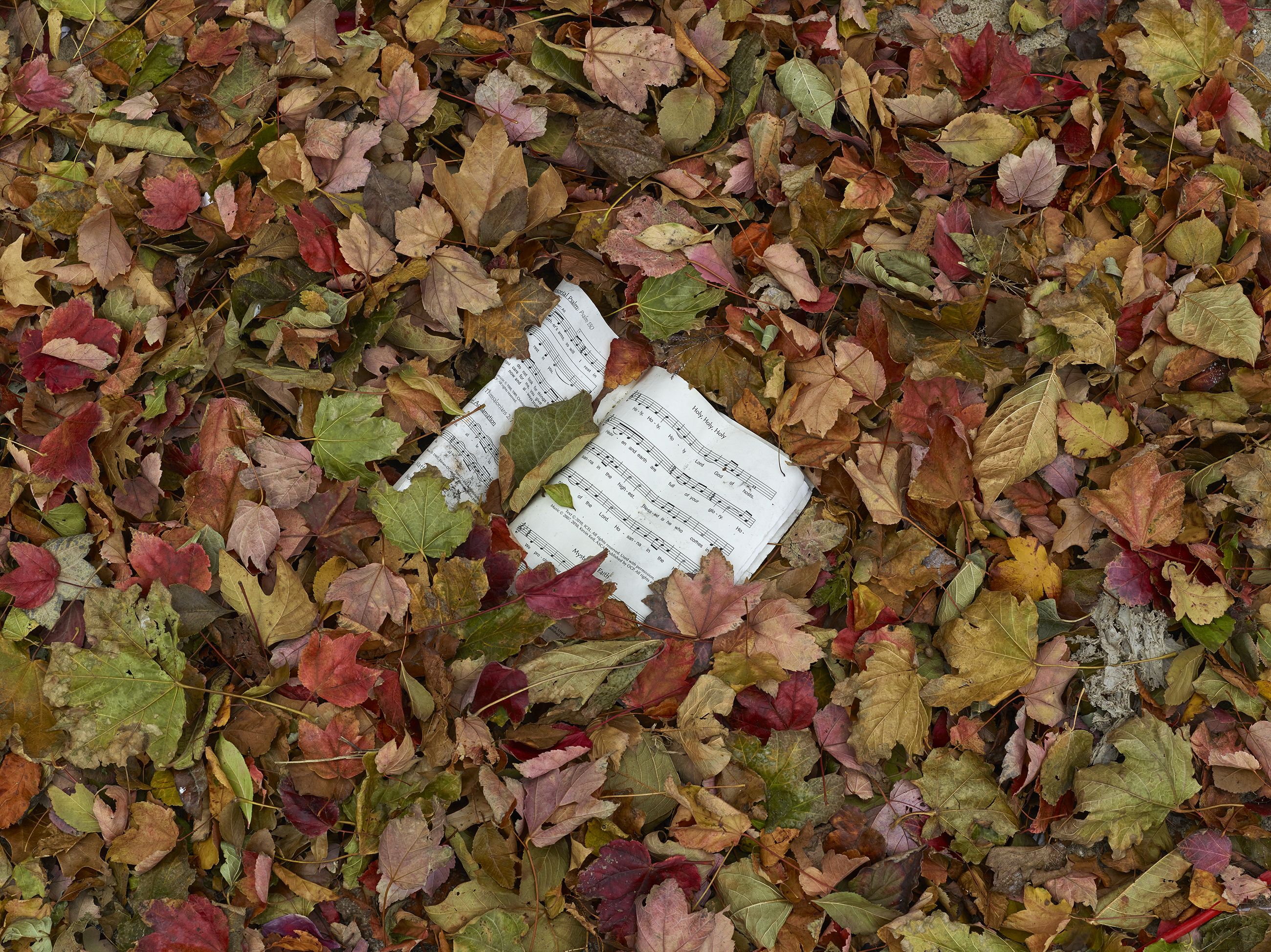 Welcome to Mark Power