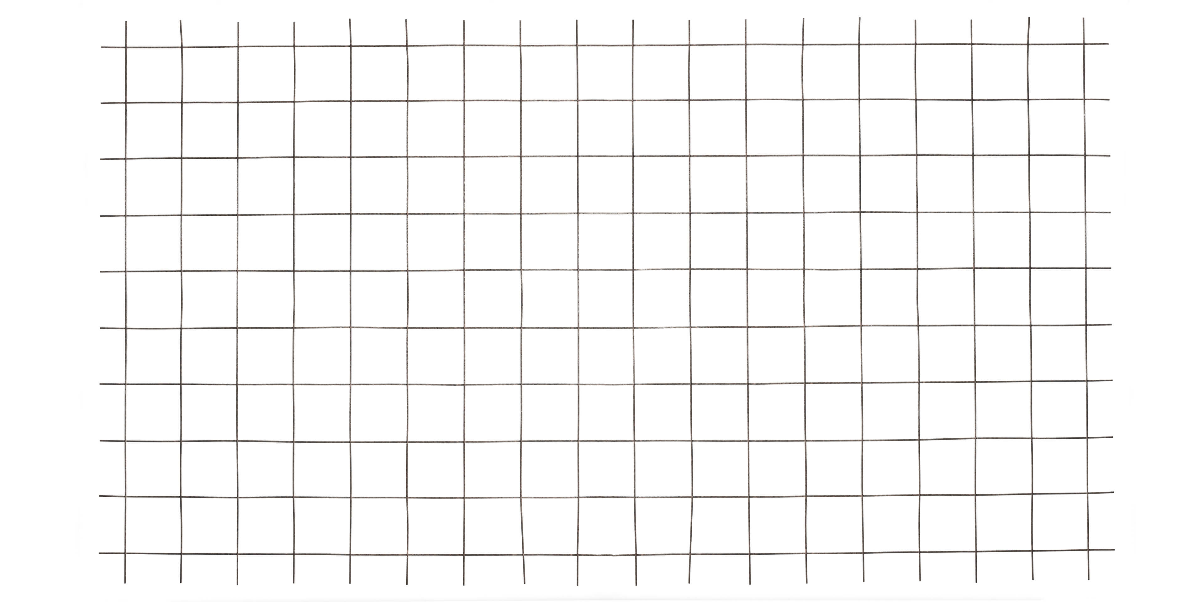 6mm A142 High Tensile Steel Mesh 2000x3600mm