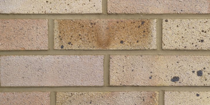 Dapple Light Forterra Facing Brick