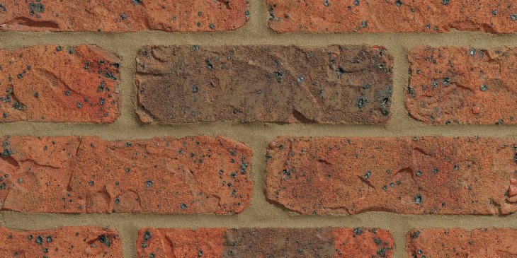 Farmstead Antique Forterra Facing Brick
