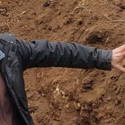 Joel Williams Workshop Soil Health Beef & Arable | Cornish Mutual ...