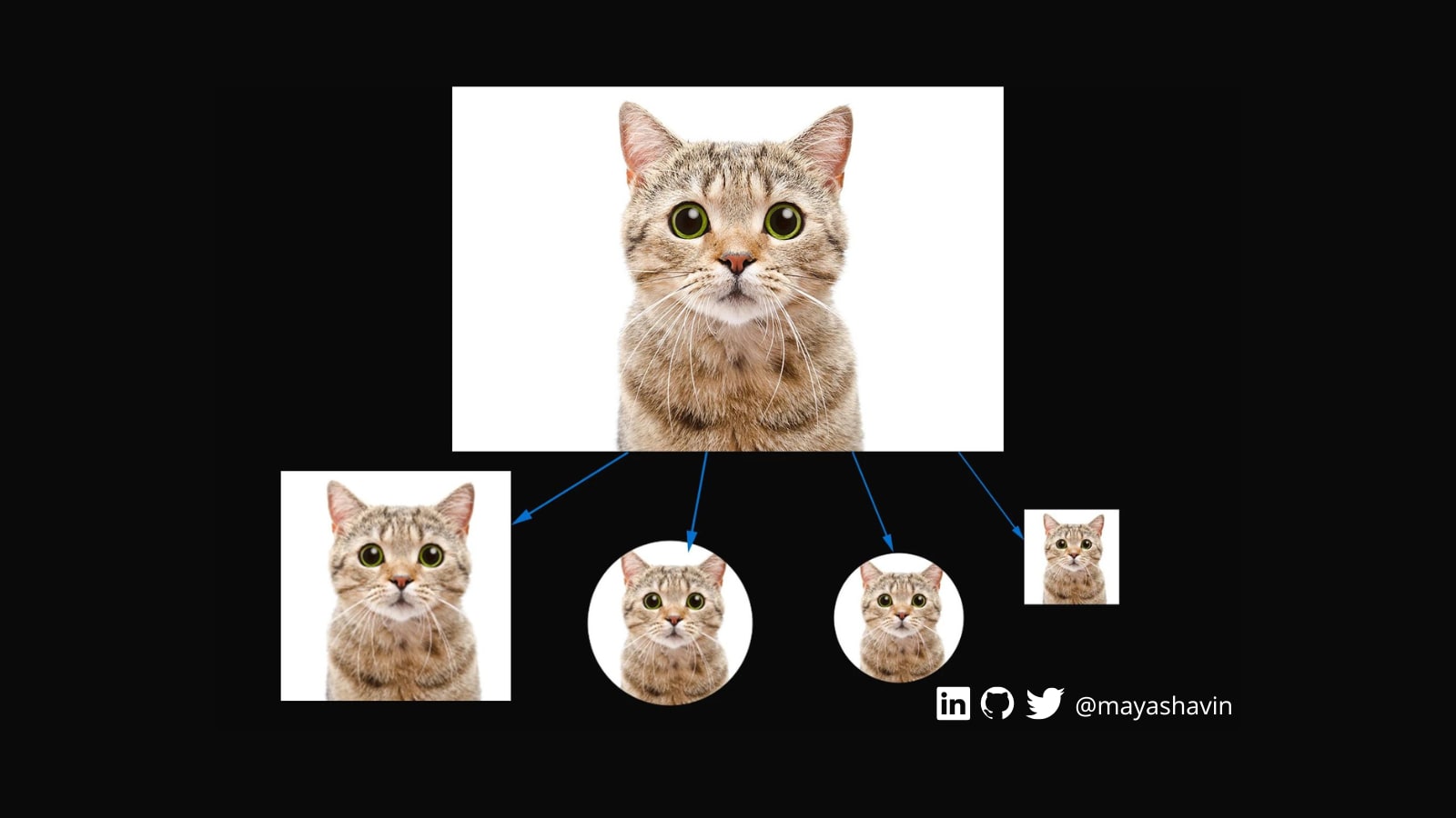 How to extract public id from a Cloudinary URL easily