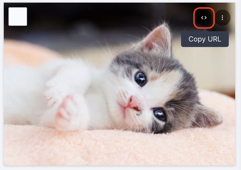 Compose image thumbnail with Cloudinary and Vue