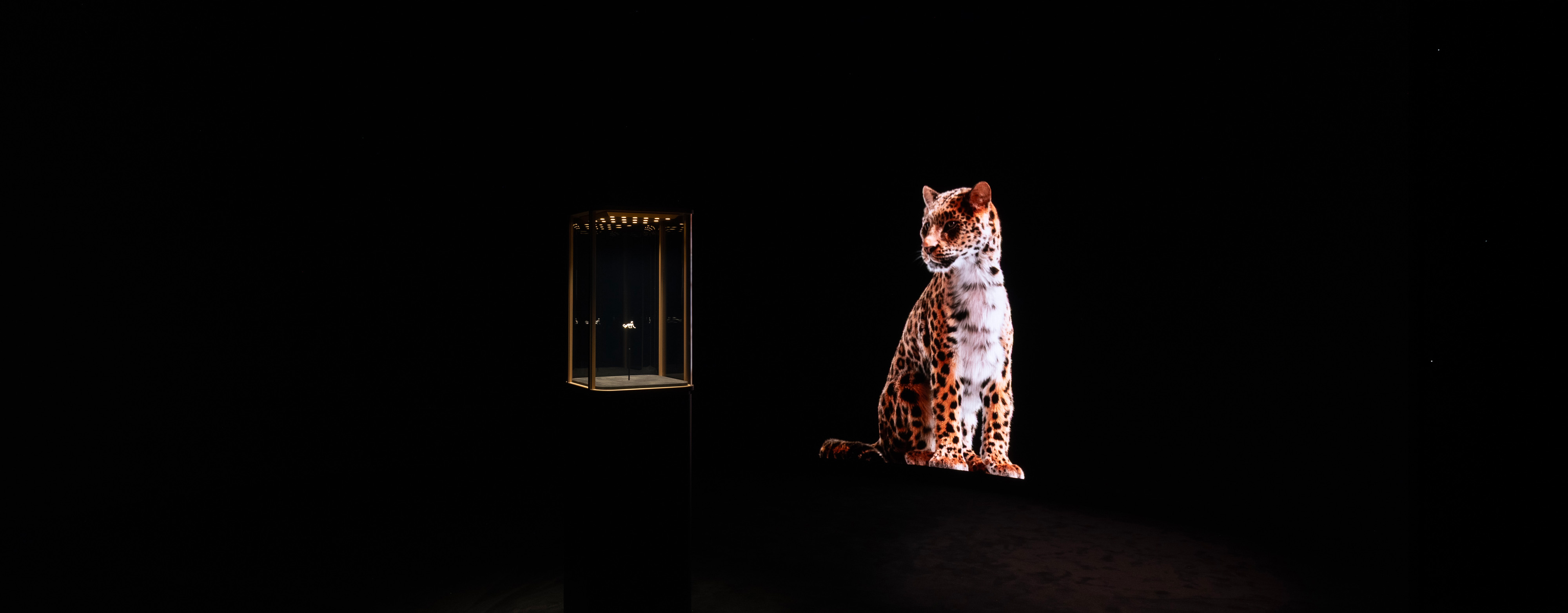 Cartier - Into the Wild - Art Basel Miami Beach - Events - Exhibitions ...