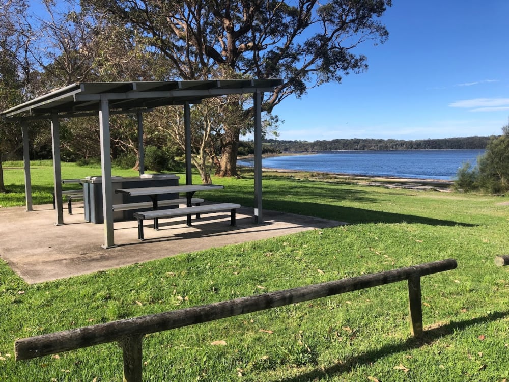 KYLA PARK Public BBQ