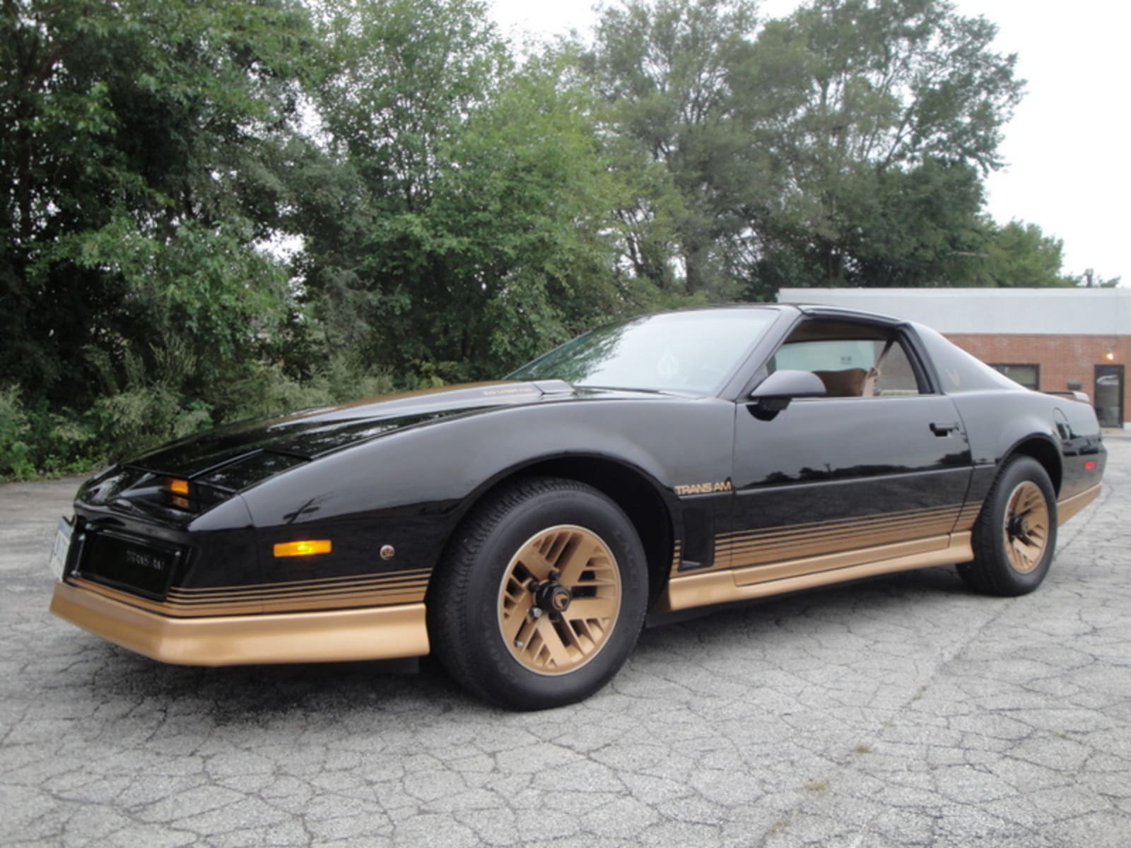 1984 Pontiac Trans Am at Chicago 2014 as T19 - Mecum Auctions