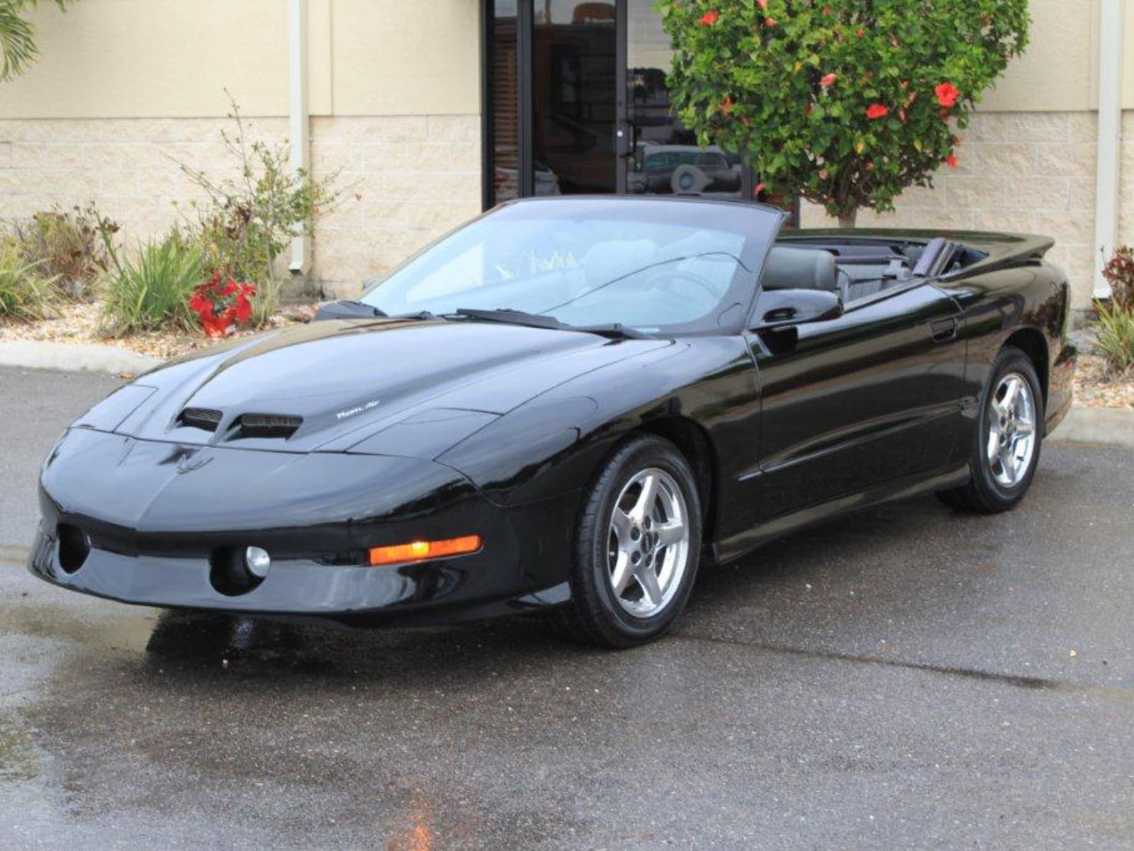 1997 Pontiac Trans Am WS6 Convertible at Kissimmee 2013 as G140 - Mecum ...
