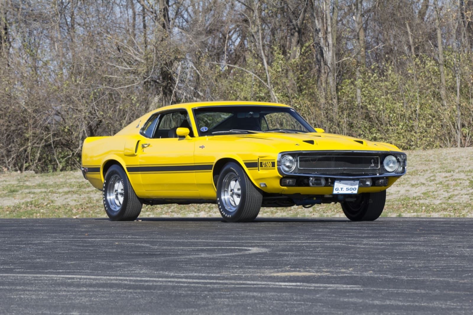 1969 Shelby GT500 Fastback at Kissimmee 2014 as S156.1 - Mecum Auctions