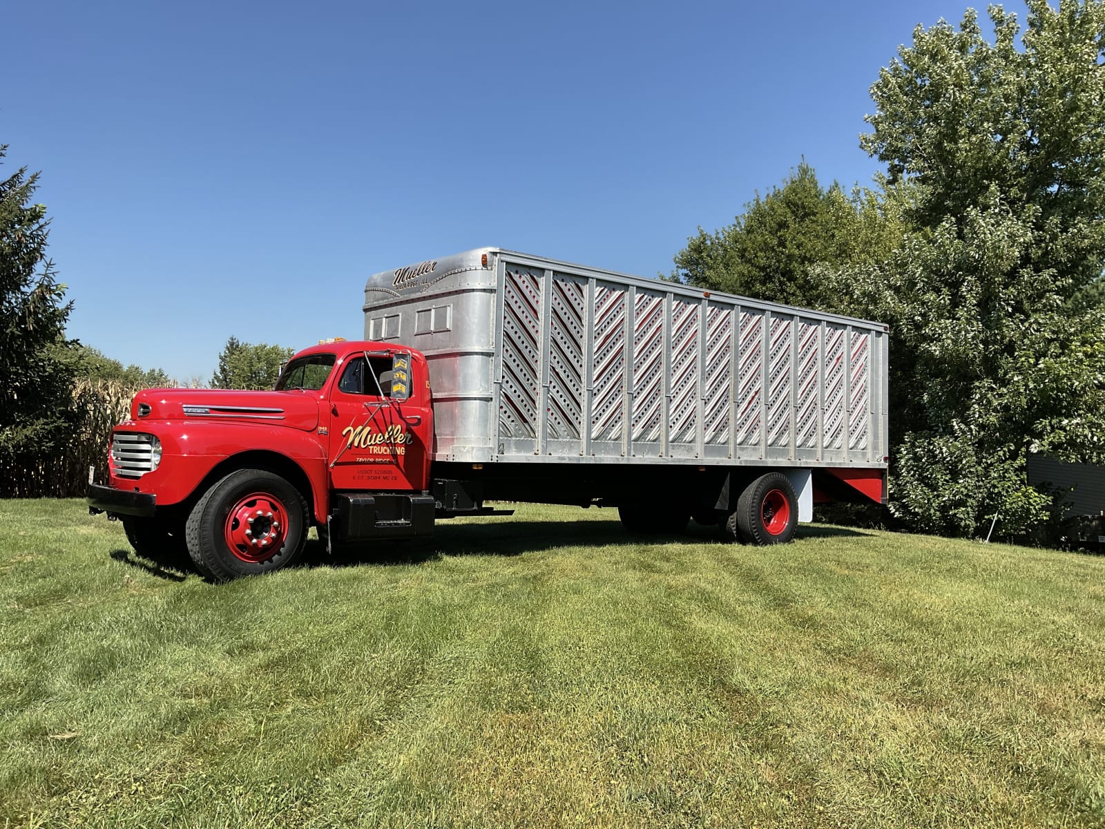 1950 Ford F8 at Gone Farmin' Fall Premier 2022 as K79 - Mecum Auctions
