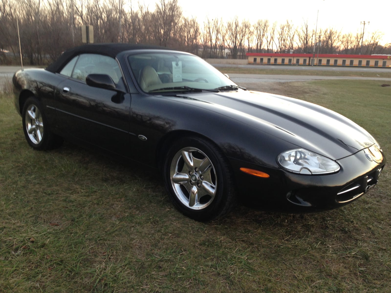 1997 Jaguar XK8 Convertible at Kansas City 2013 as F255 - Mecum Auctions