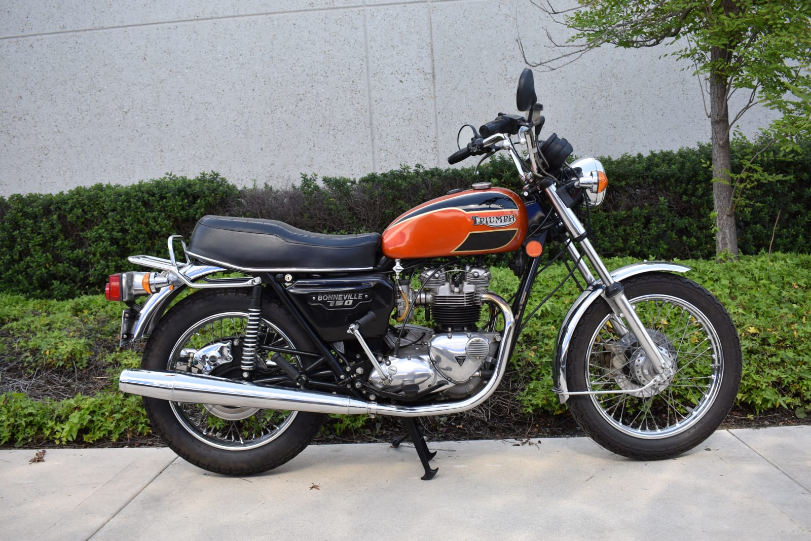 1979 Triumph Bonneville T140E at Las Vegas Motorcycles June 2017 as ...