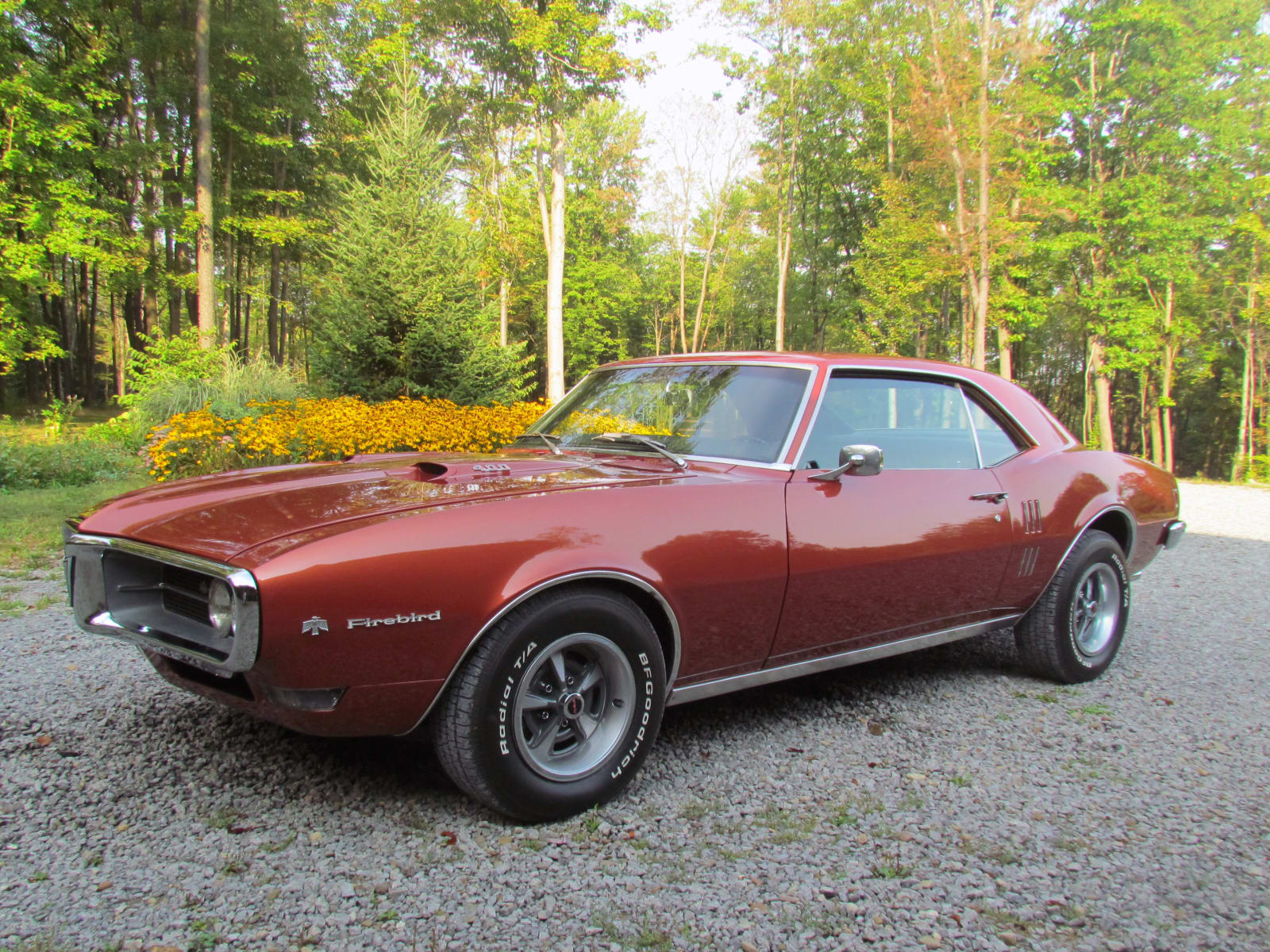 1968 Pontiac Firebird at Dana Mecum's 27th Original Spring Classic 2014 ...
