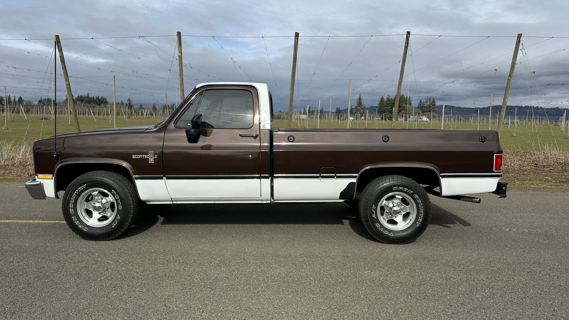 1984 Chevrolet C20 Pickup at Glendale 2023 asG79 - Mecum Auctions