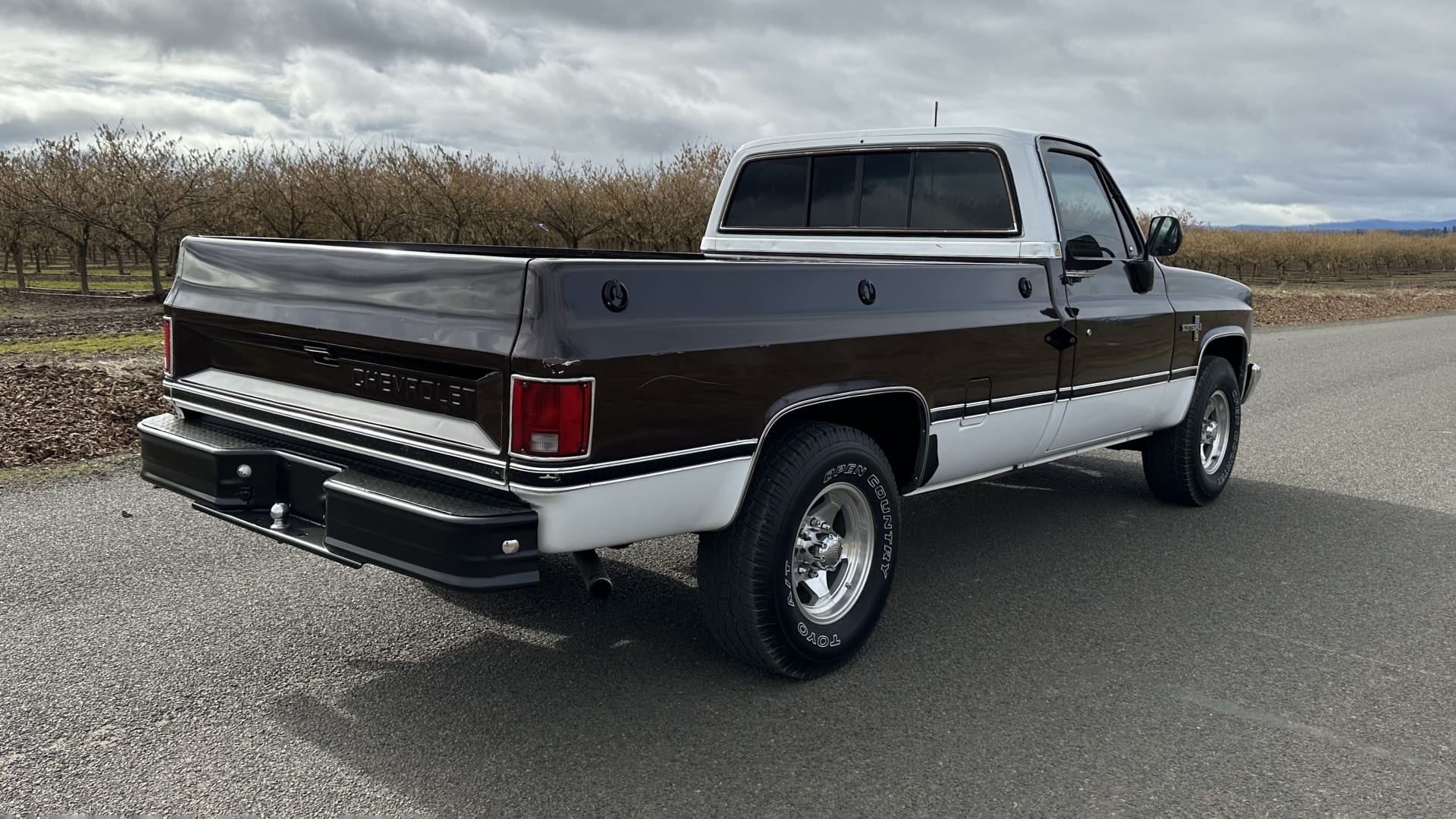 1984 Chevrolet C20 Pickup at Glendale 2023 asG79 - Mecum Auctions