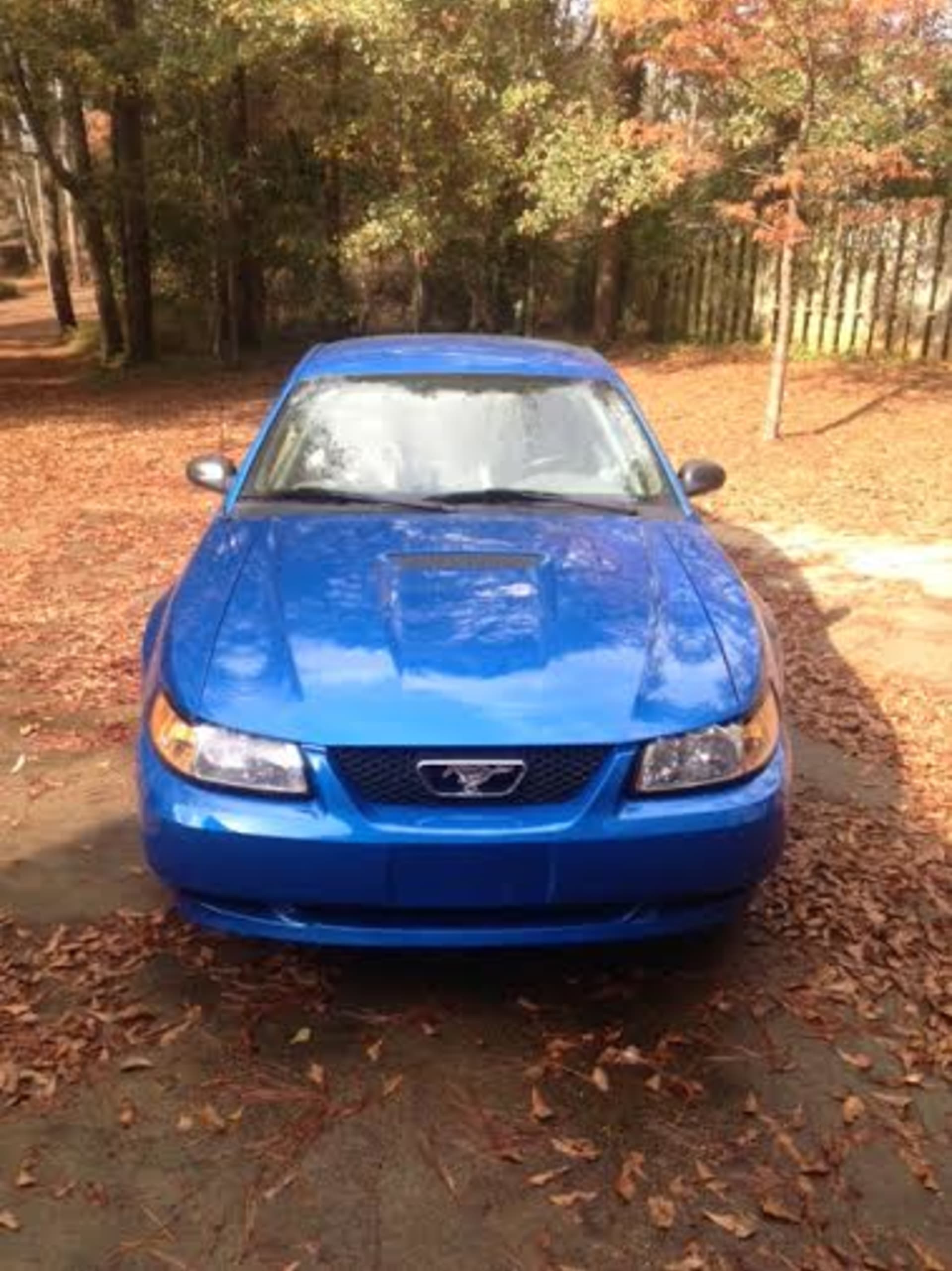 2000 Ford Mustang Pro Street at Kissimmee 2014 as T307 - Mecum Auctions