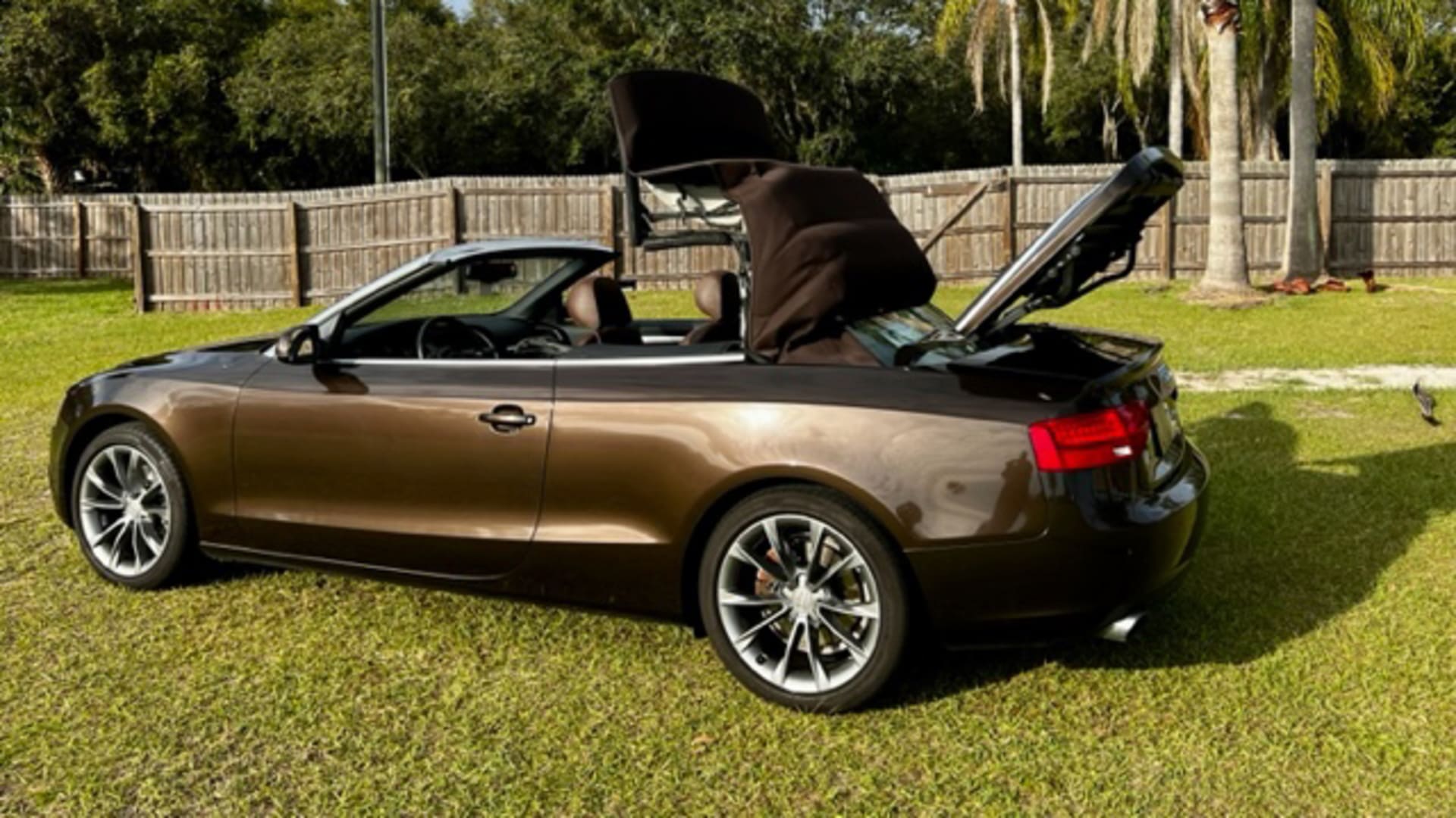 2013 Audi A5 Convertible At Kissimmee 2023 As E107 Mecum Auctions 2013 Audi A5 Convertible At Kissimmee 2023 As E107 Mecum Auctions