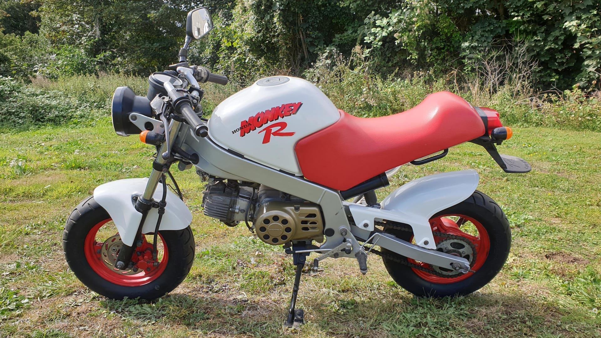 1987 Honda Monkey R at Las Vegas Motorcycles 2020 as T205 - Mecum Auctions