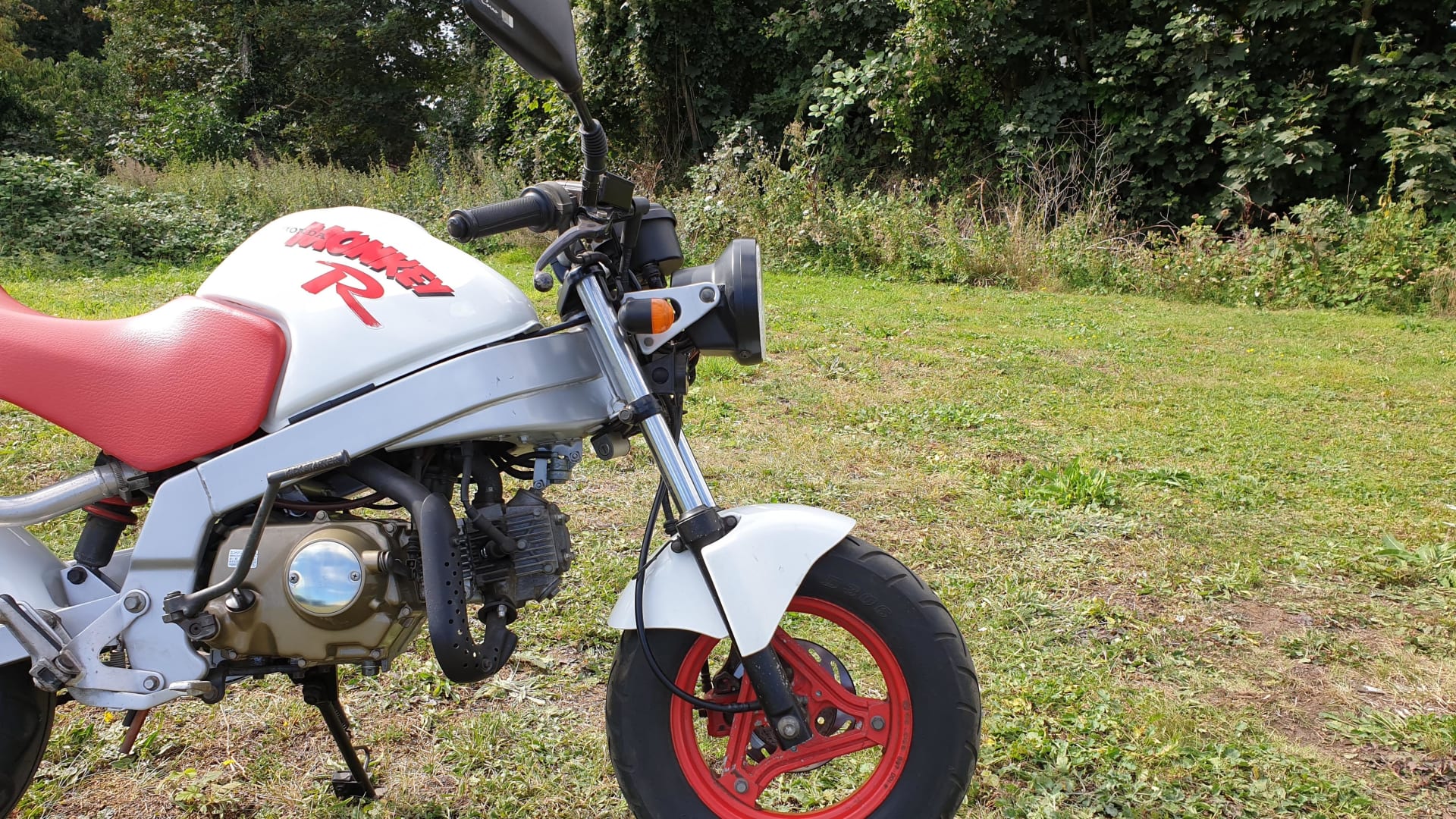 1987 Honda Monkey R at Las Vegas Motorcycles 2020 as T205 - Mecum Auctions