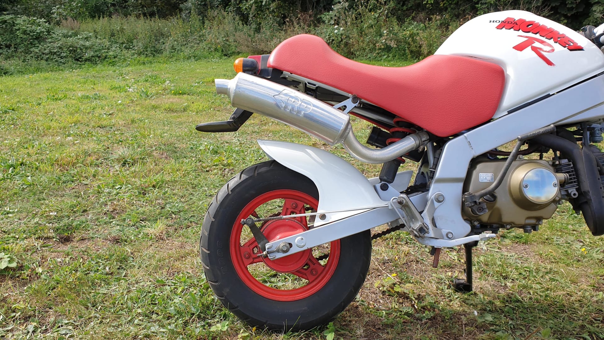 1987 Honda Monkey R at Las Vegas Motorcycles 2020 as T205 - Mecum Auctions