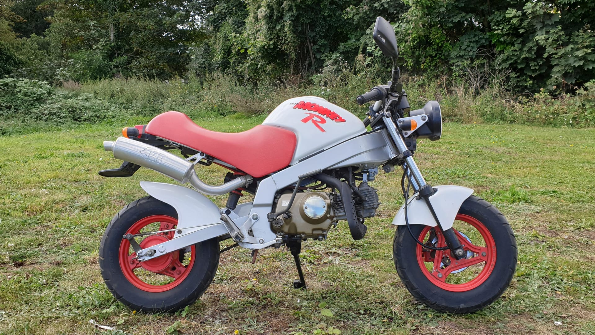 1987 Honda Monkey R at Las Vegas Motorcycles 2020 as T205 - Mecum Auctions