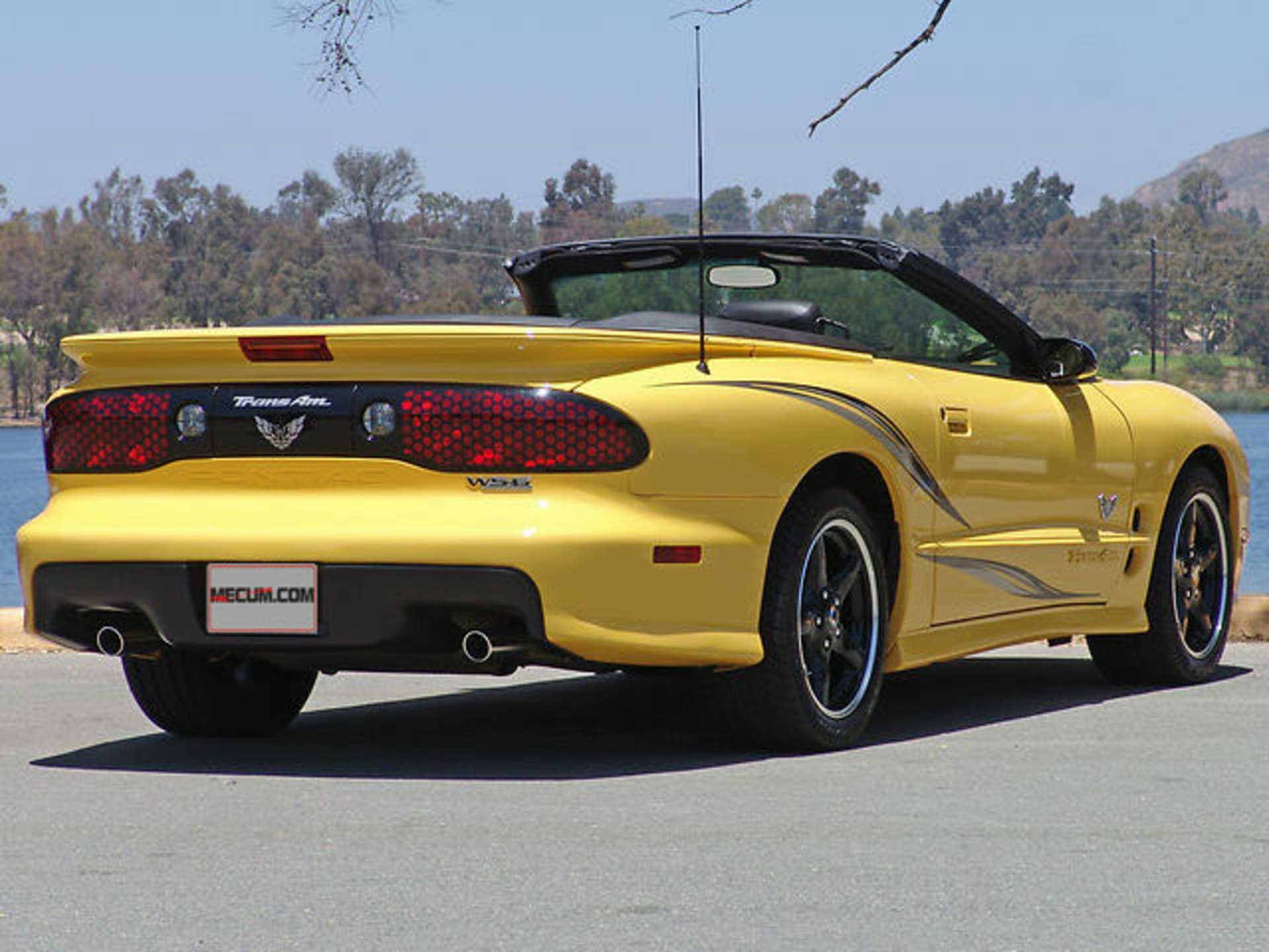 2002 Pontiac Trans Am Collectors Edition at Anaheim 2013 as S56 - Mecum ...
