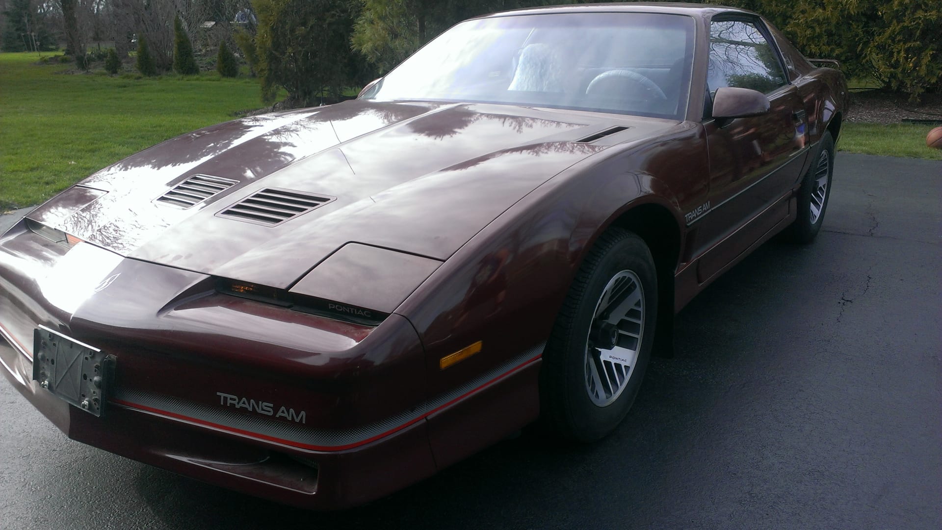 1985 Pontiac Trans Am at Chicago 2013 as F293 - Mecum Auctions