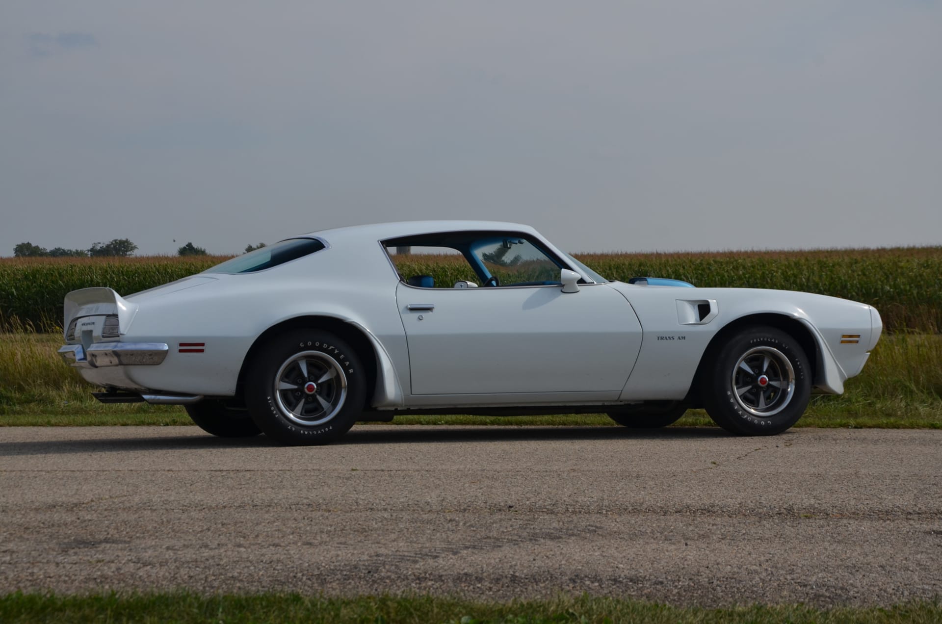 1970 Pontiac Trans Am at Chicago 2013 as S190 - Mecum Auctions