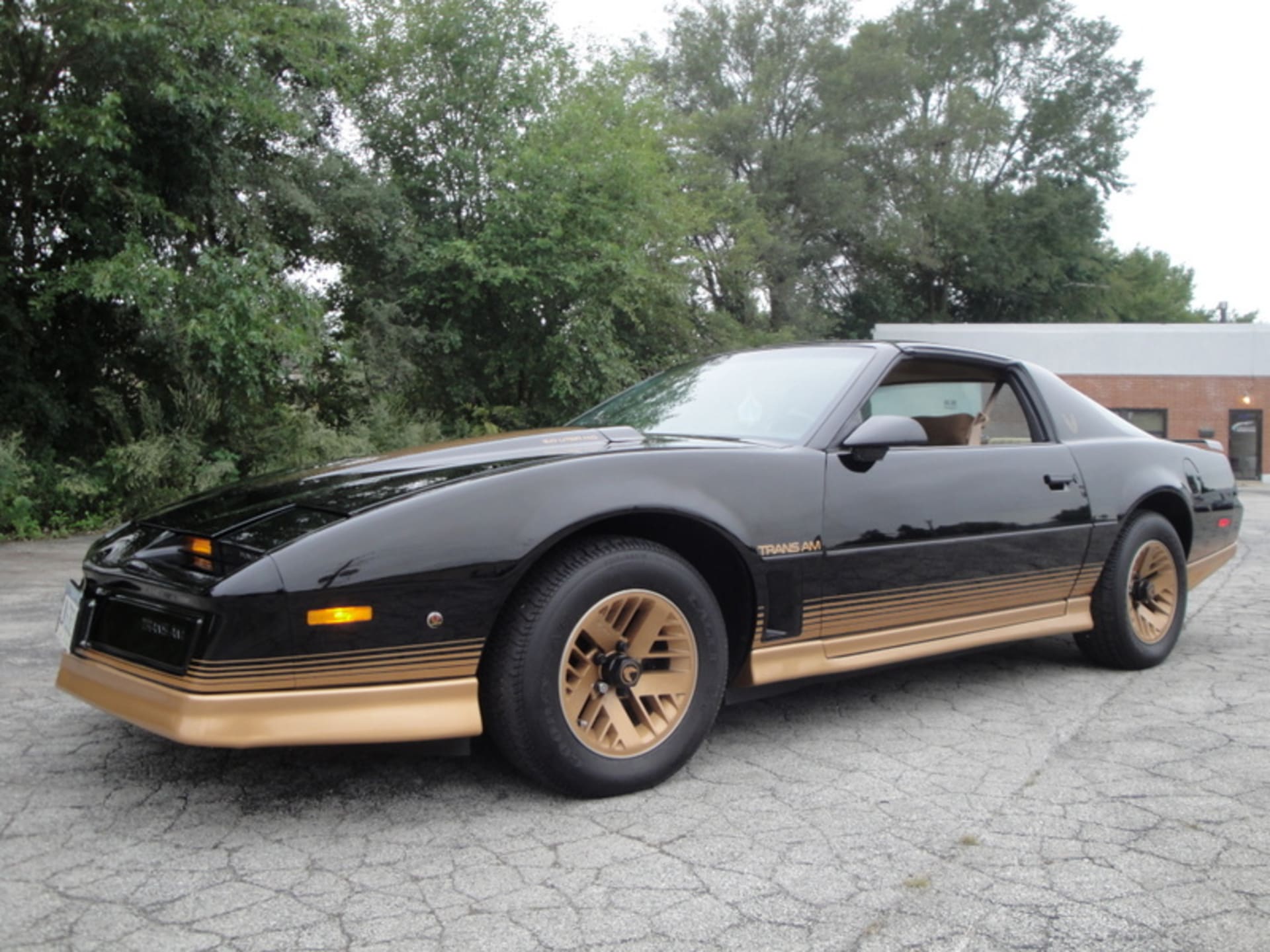 1984 Pontiac Trans Am at Chicago 2014 as T19 - Mecum Auctions