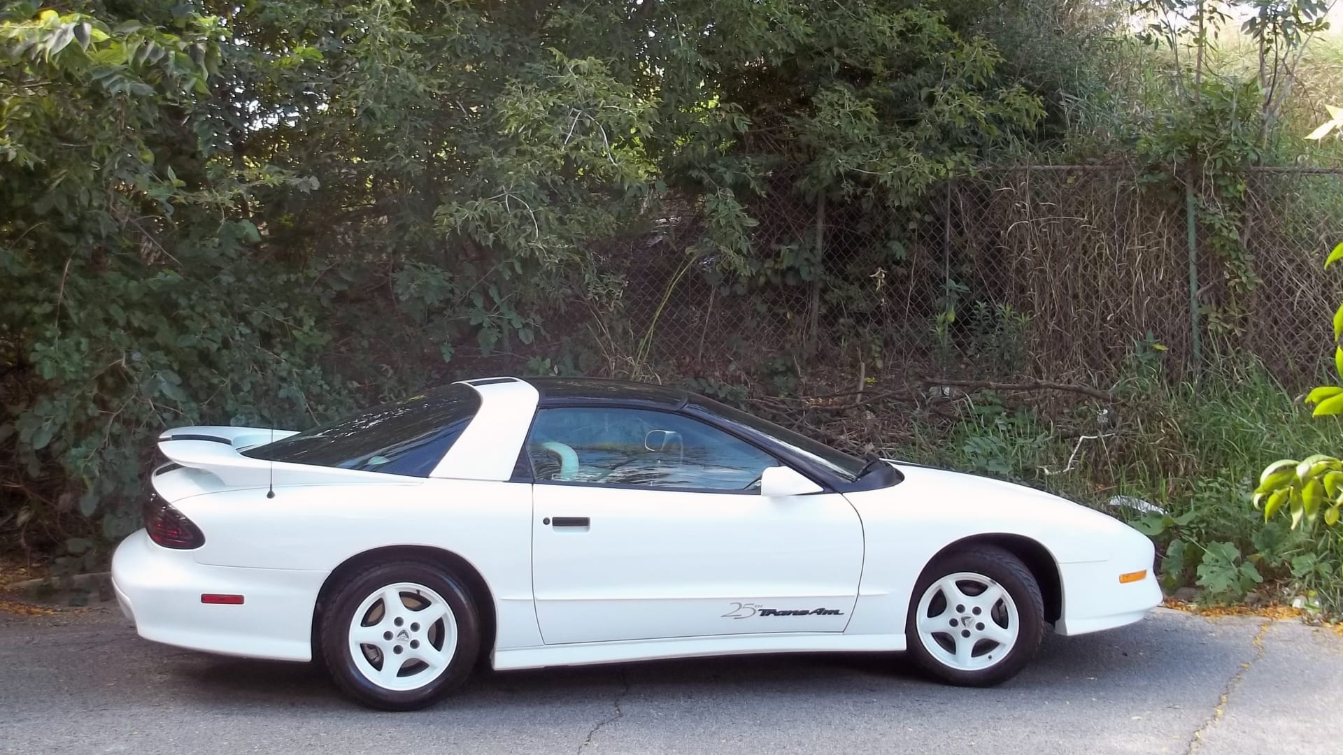 1994 Pontiac Trans Am 25th Anniversary at Chicago 2015 as S16 - Mecum ...