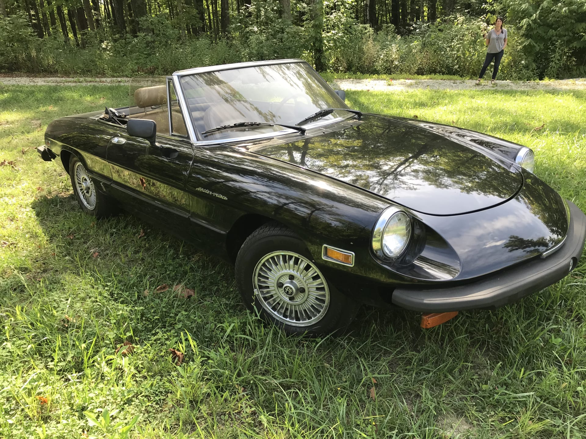 1979 Alfa Romeo Spider at Chicago 2019 as T123 - Mecum Auctions