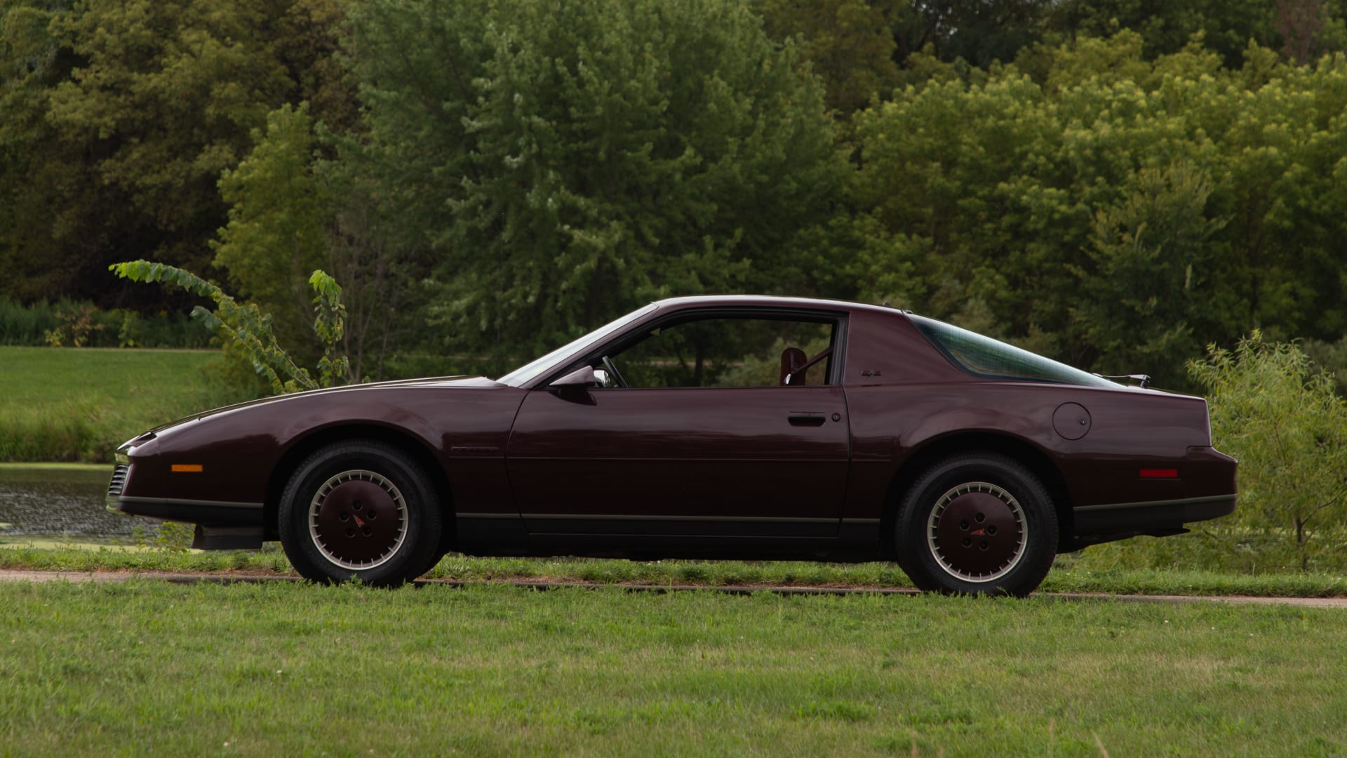 1982 Pontiac Firebird S/E at Chicago 2019 as S63 - Mecum Auctions