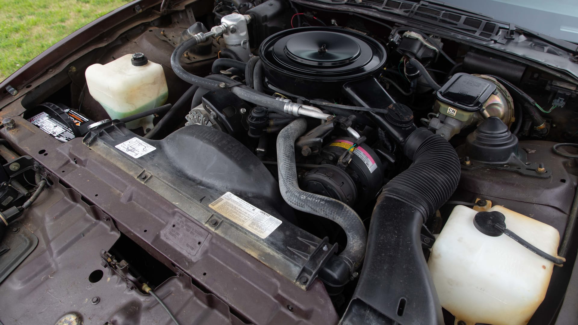 1982 Pontiac Firebird S/E at Chicago 2019 as S63 - Mecum Auctions