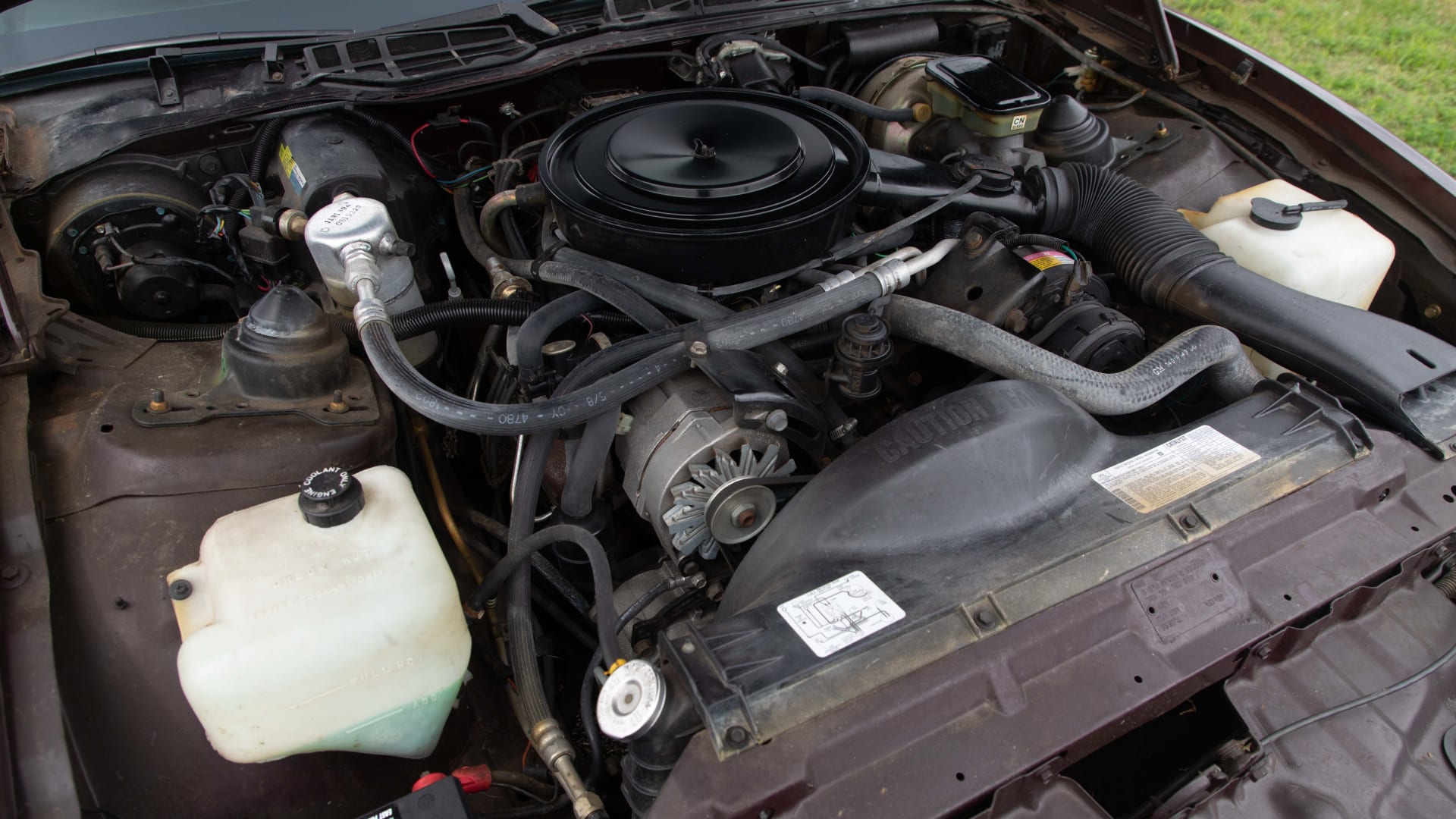 1982 Pontiac Firebird S/E at Chicago 2019 as S63 - Mecum Auctions