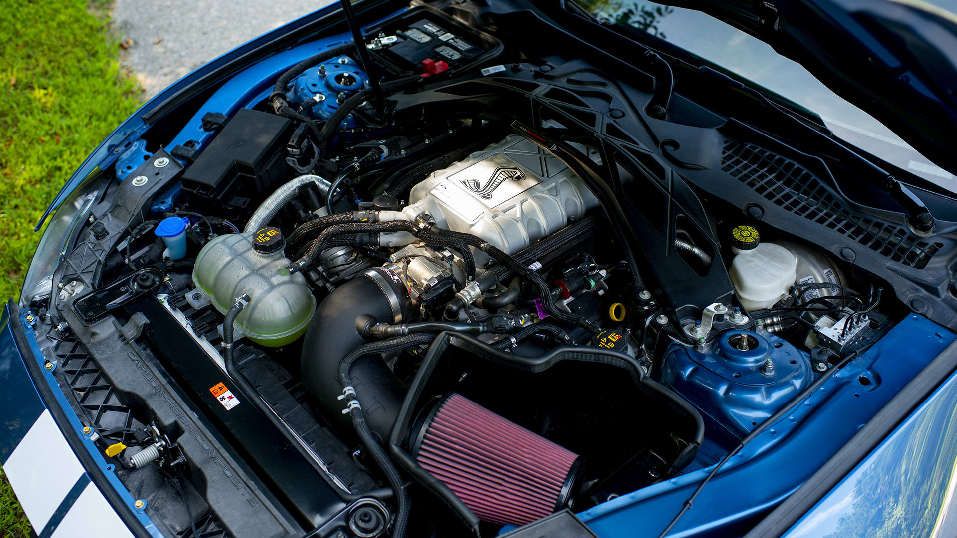 2020 Ford Shelby GT500 at Chicago 2022 as S95 - Mecum Auctions