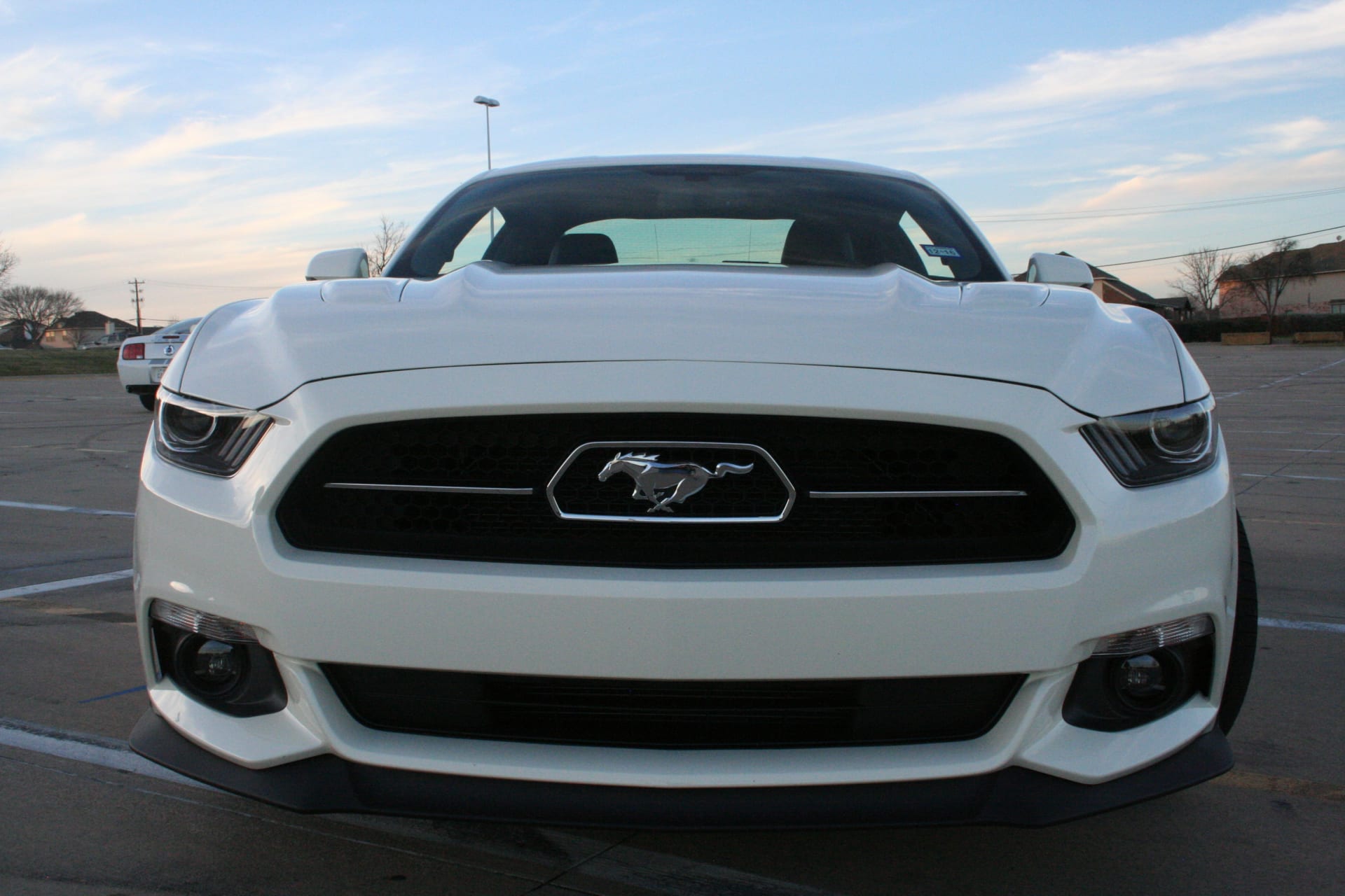 2015 Ford Mustang 50th Anniversary at Dallas 2019 as F189 - Mecum Auctions