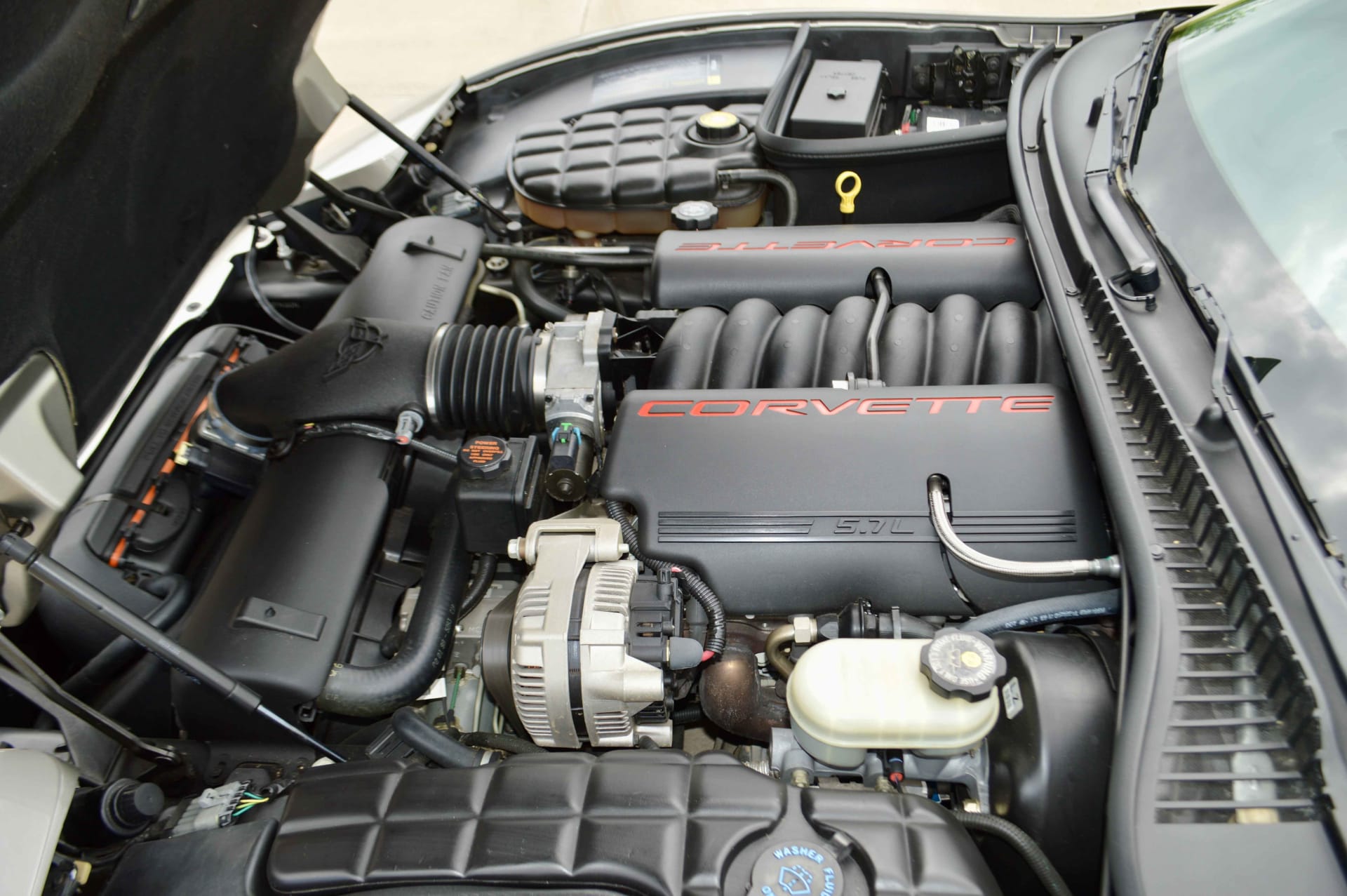 1999 Chevrolet Corvette Convertible at Dallas 2021 asF57 - Mecum Auctions