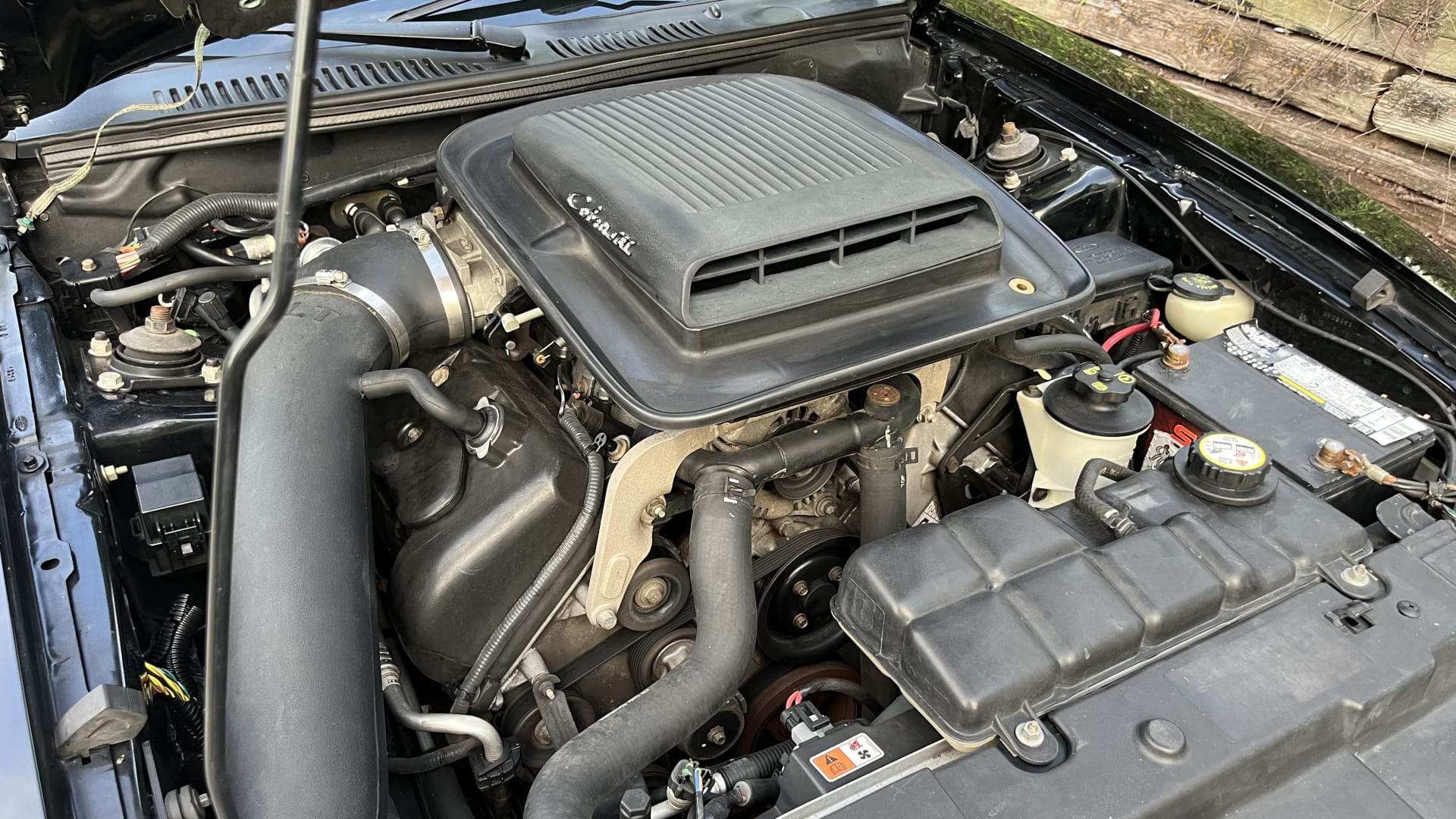 2003 Ford Mustang Mach 1 at Dallas 2022 as F251 - Mecum Auctions