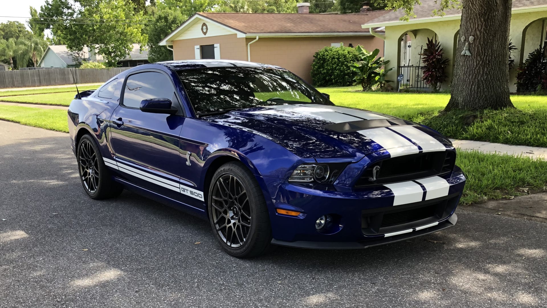 2014 Ford Shelby GT500 at Orlando 2022 as S243 - Mecum Auctions