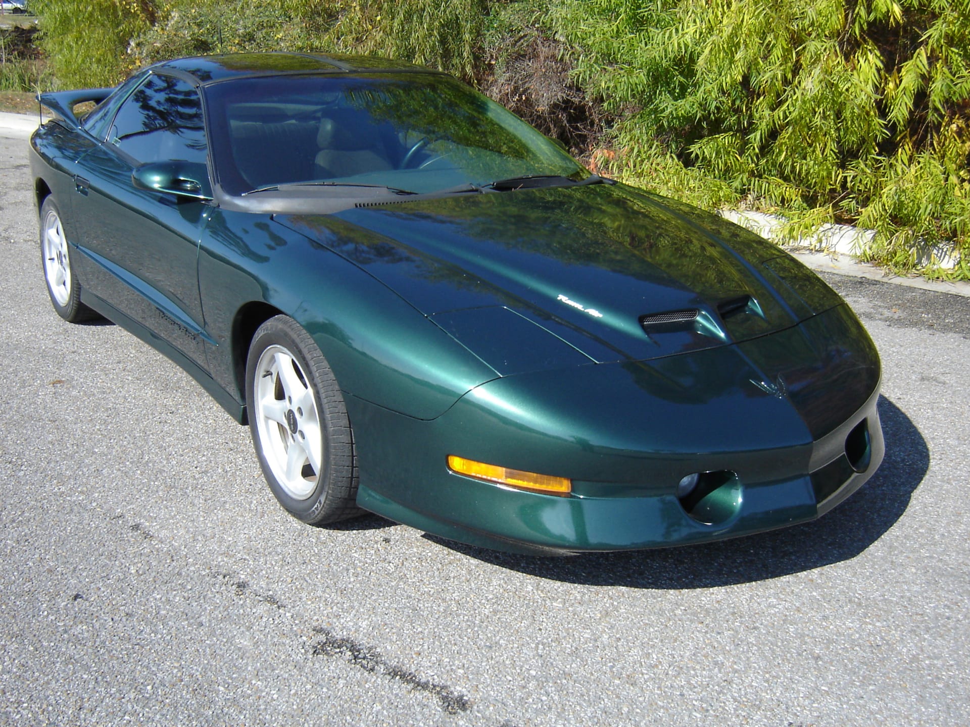 1996 Pontiac Firebird at Kissimmee 2013 as G153 - Mecum Auctions