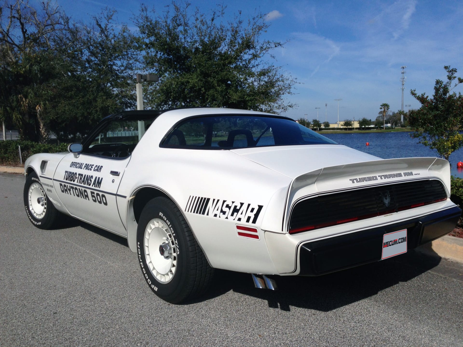 1981 Pontiac Trans Am Pace Car Edition at Kissimmee 2013 asL140 - Mecum ...
