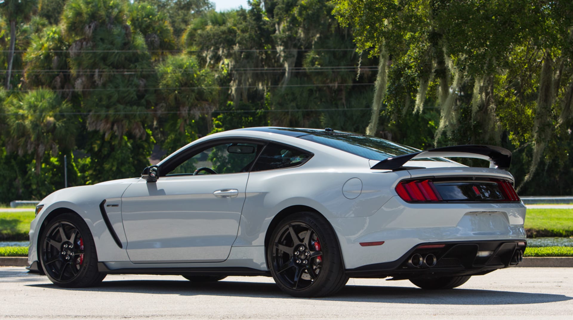 2016 Ford Shelby GT350R at Kissimmee 2017 asF197 - Mecum Auctions
