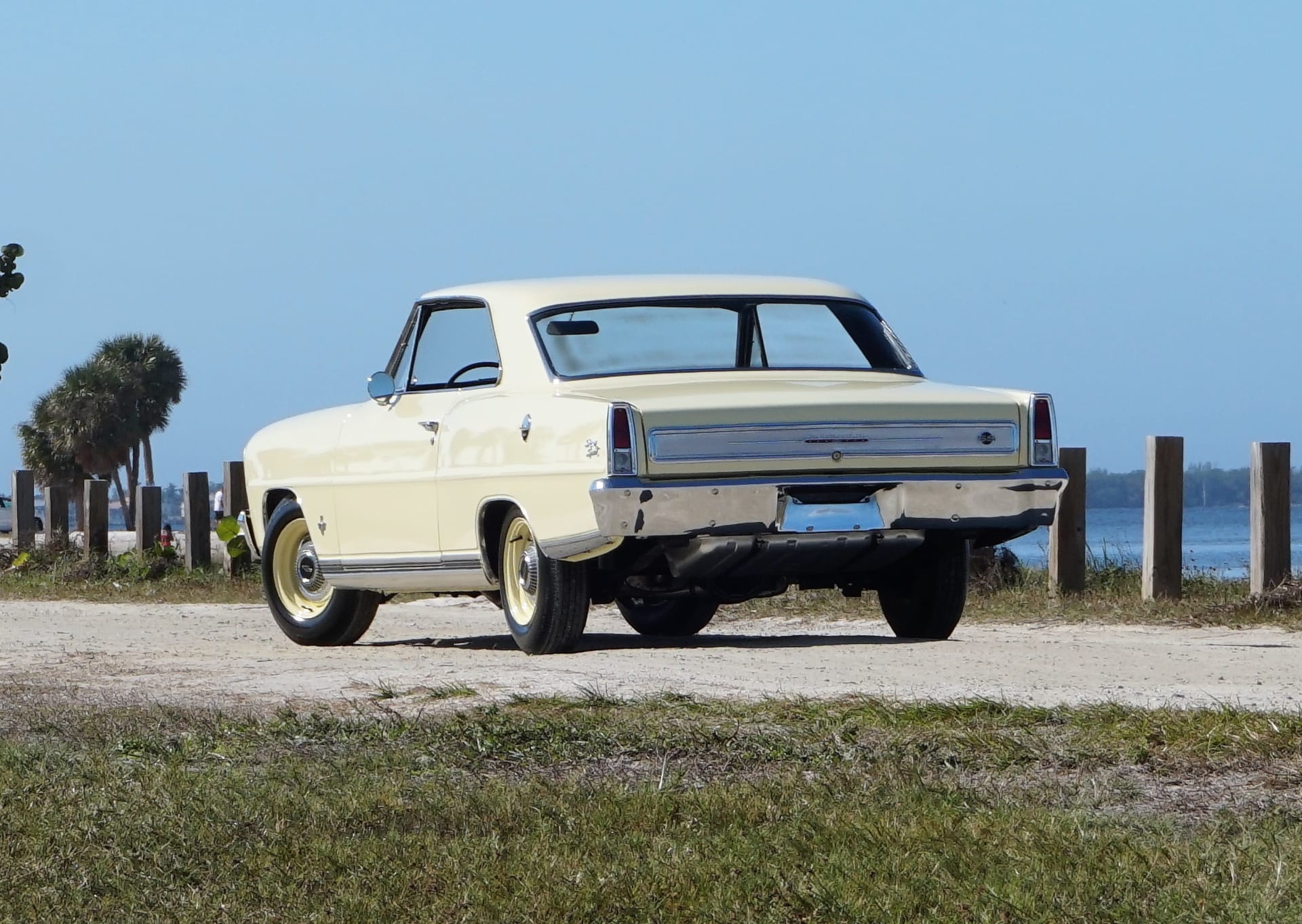 1966 Chevrolet Nova L79 at Kissimmee 2018 as S81 - Mecum Auctions