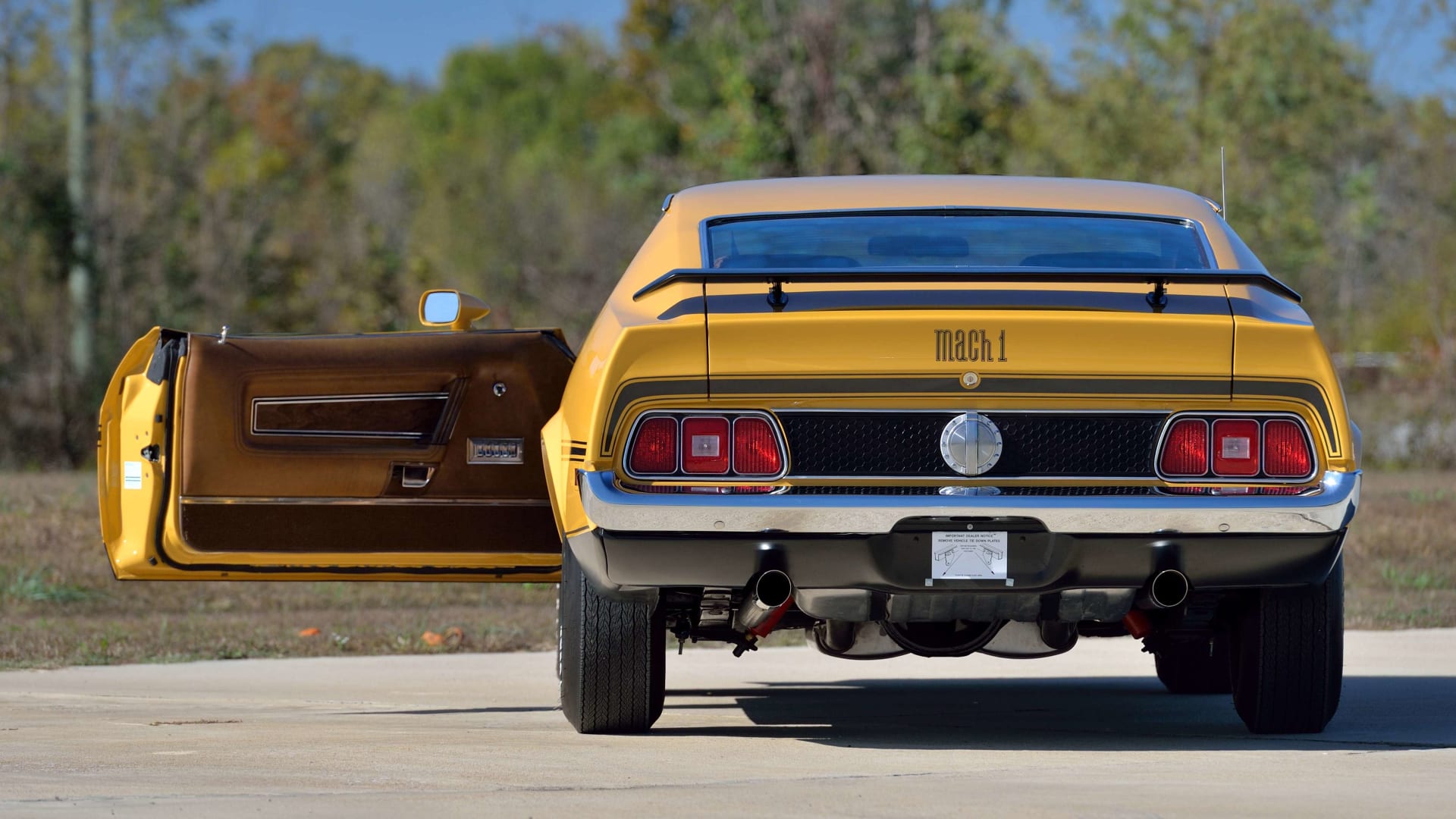 1971 Ford Mustang Mach 1 Fastback at Kissimmee 2020 as F208 - Mecum ...