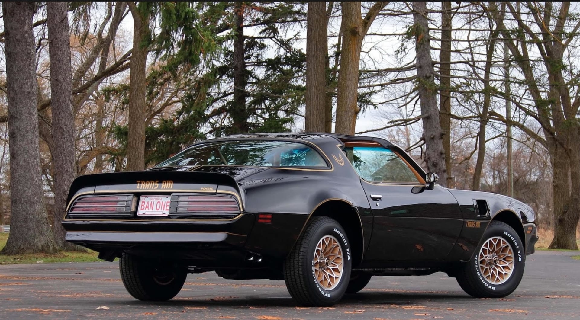 1977 Pontiac Trans Am SE at Kissimmee 2021 as F25 - Mecum Auctions