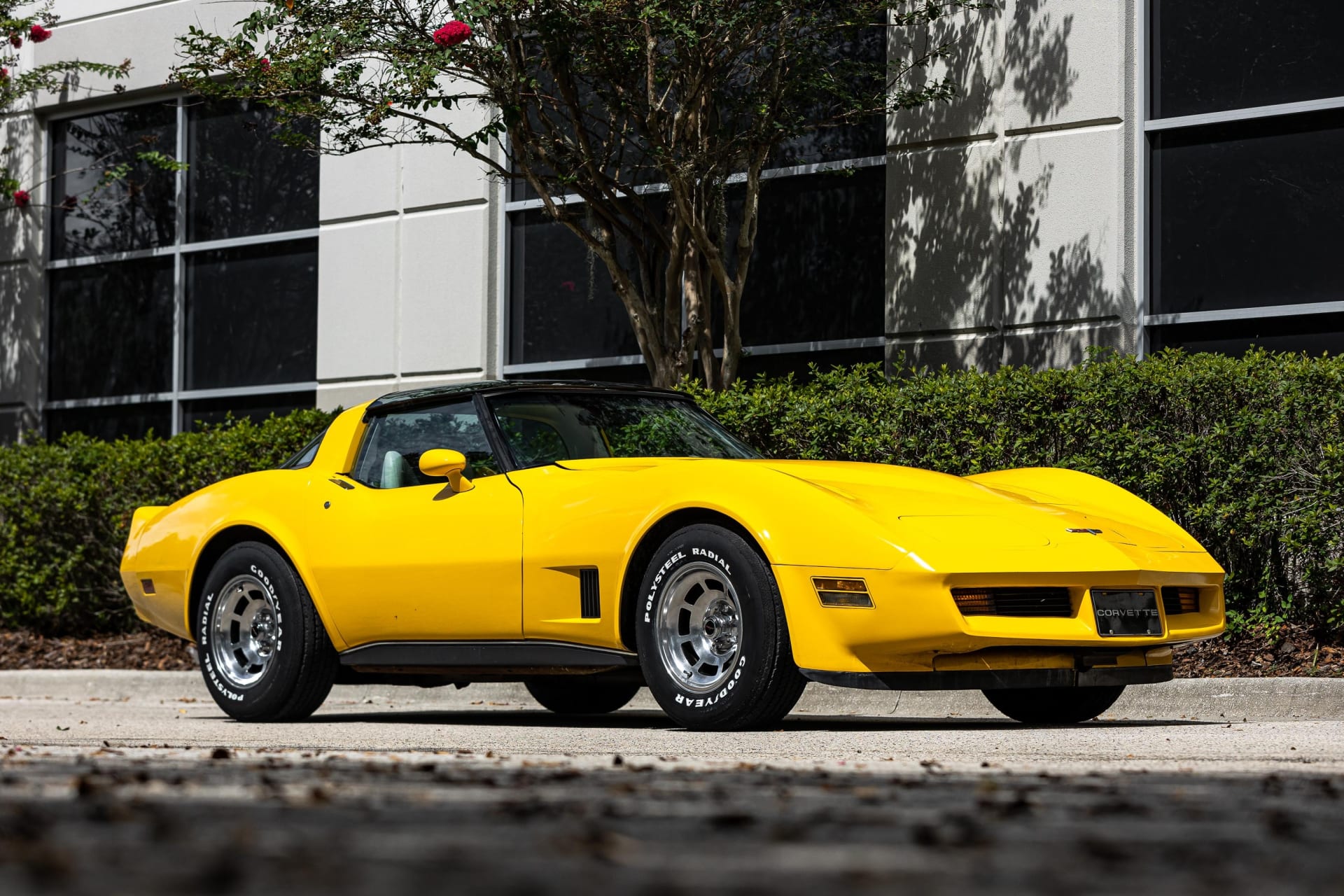 1980 Chevrolet Corvette Coupe at Kissimmee 2022 as J86 - Mecum Auctions