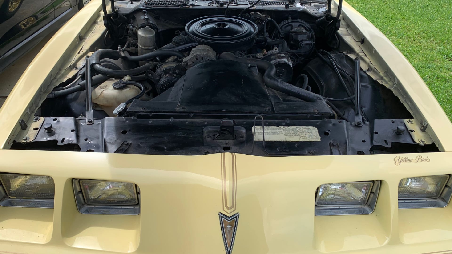 1980 Pontiac Firebird Yellow Bird at Kissimmee 2022 as L116 - Mecum ...