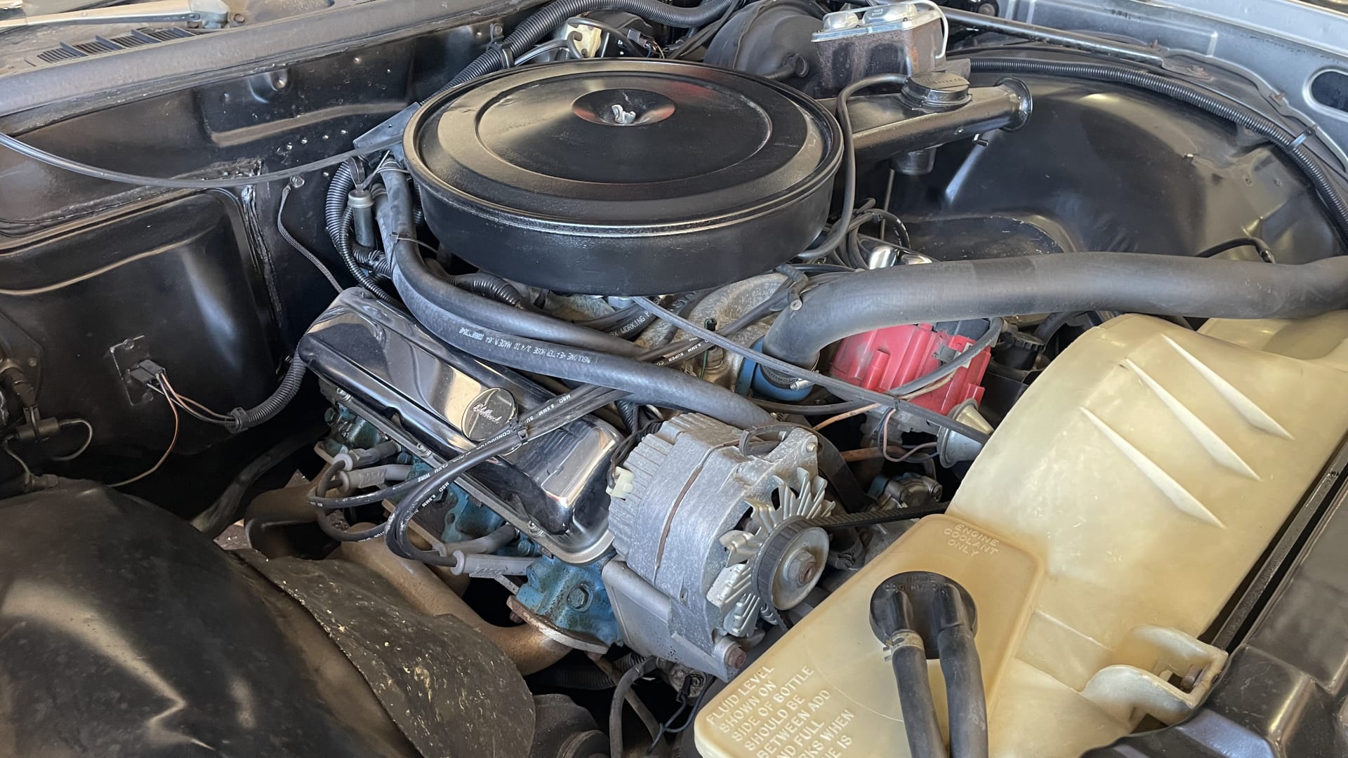 1976 Buick Century Pace Car Edition at Kissimmee 2022 as W228 - Mecum Auctions