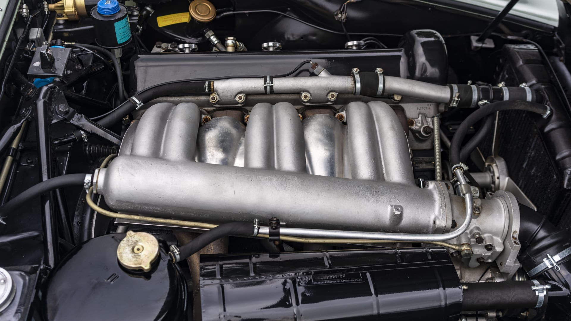 1955 Mercedes-Benz 300SL Gullwing at Kissimmee 2022 as S162 - Mecum Auctions